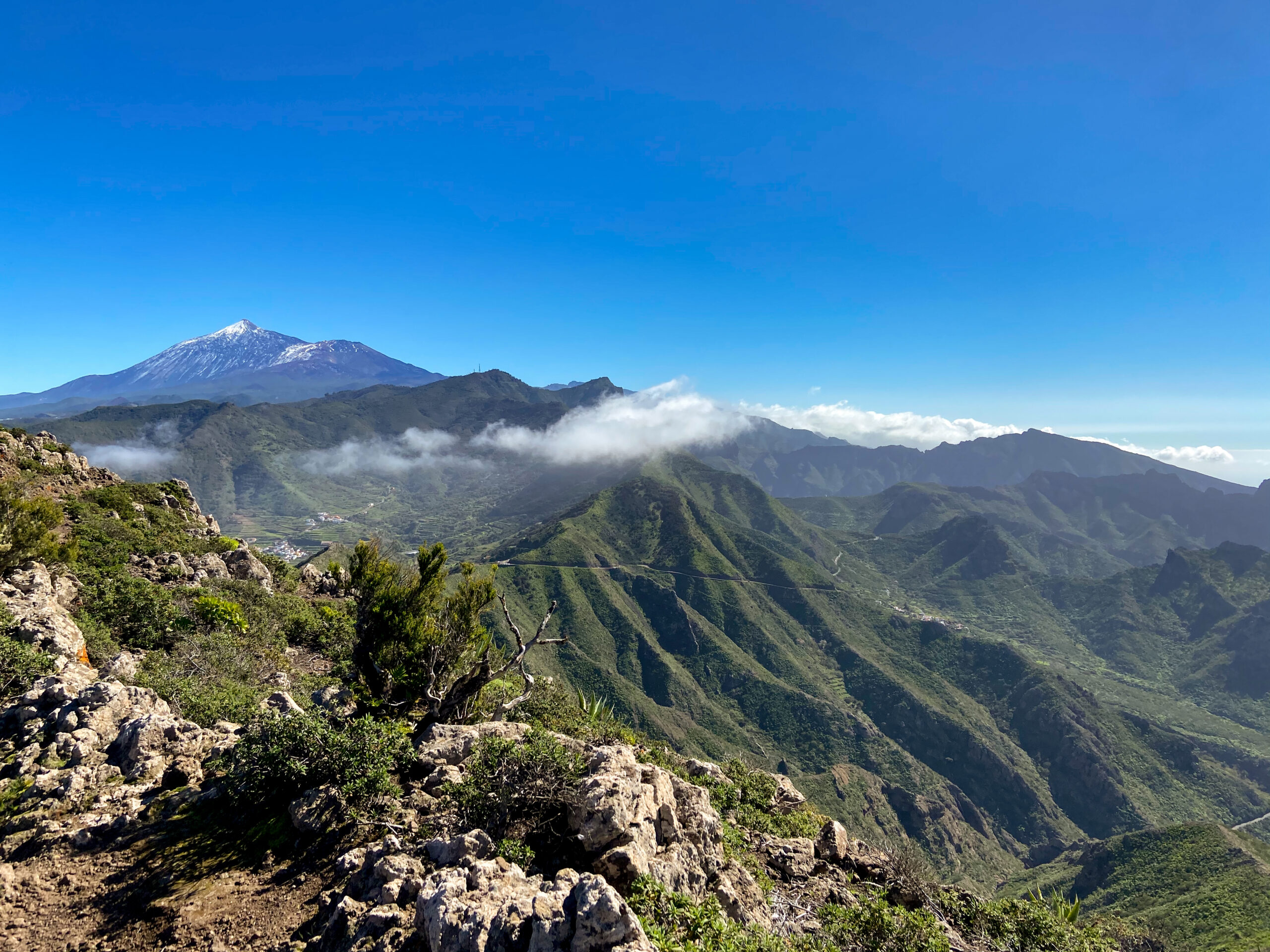 Carrizales - Teno Mountains - Circular - SiebenInseln